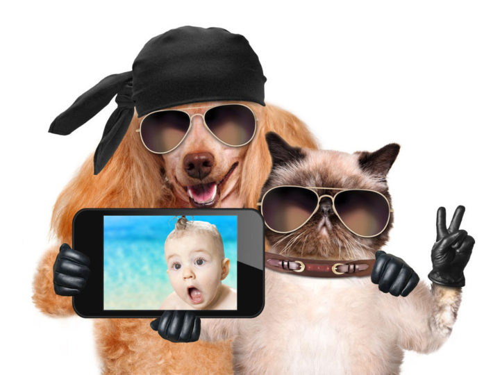 Create Funny Photo Montage Businessman using computer – Photozop