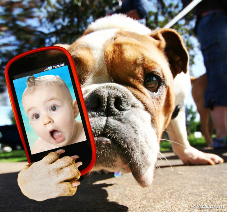 Create Funny Photo Montage Funny concept with theatrical mask – Photozop