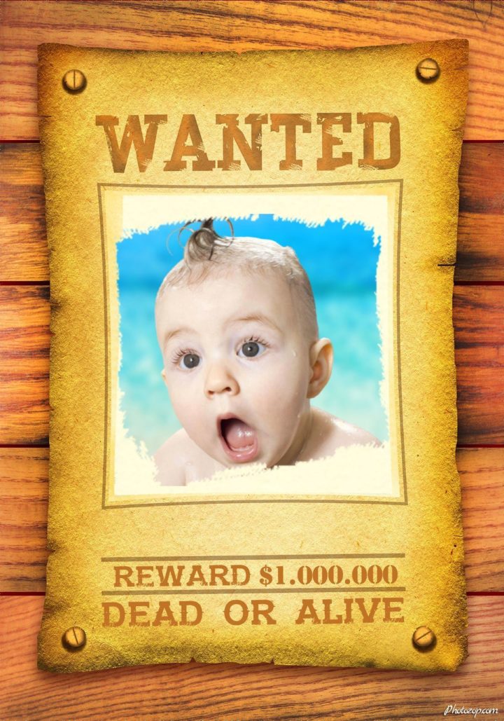 Photozop – Funny Photo Collage Maker Online Funny Montage